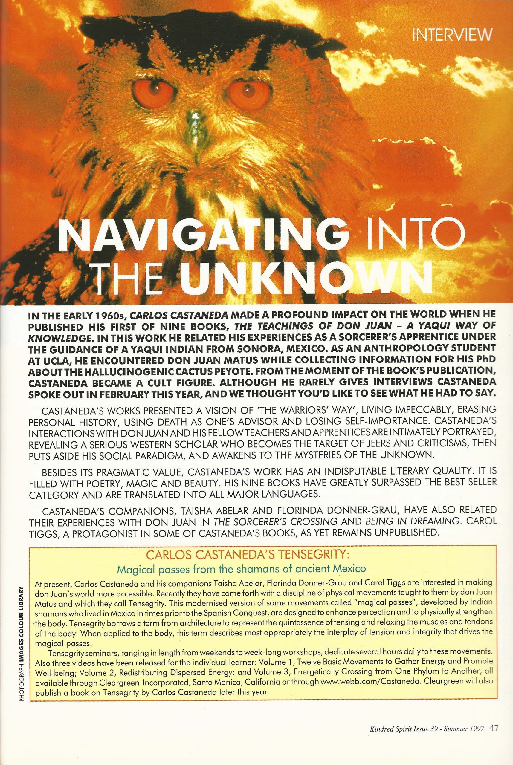 Navigating into the Unknown | Toltec School